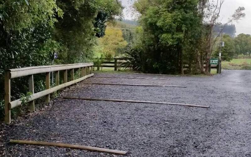Trounson Kauri Park Campground | Full Service Camp | New Zealand